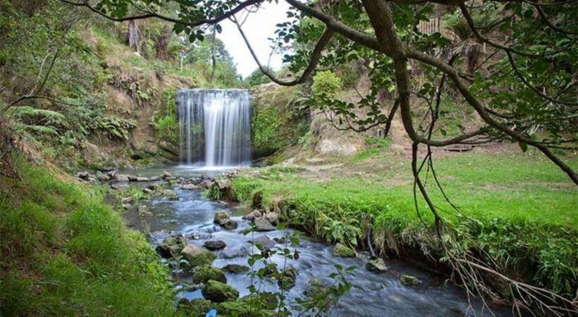 Auckland Waterfall Tour - Discovering the Hidden Maketu Falls