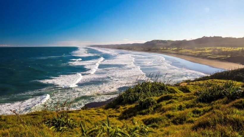 Auckland: West Coast Discovery - Key Points