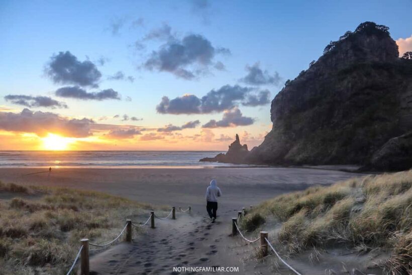Auckland: West Coast Discovery - An Overview of the Experience