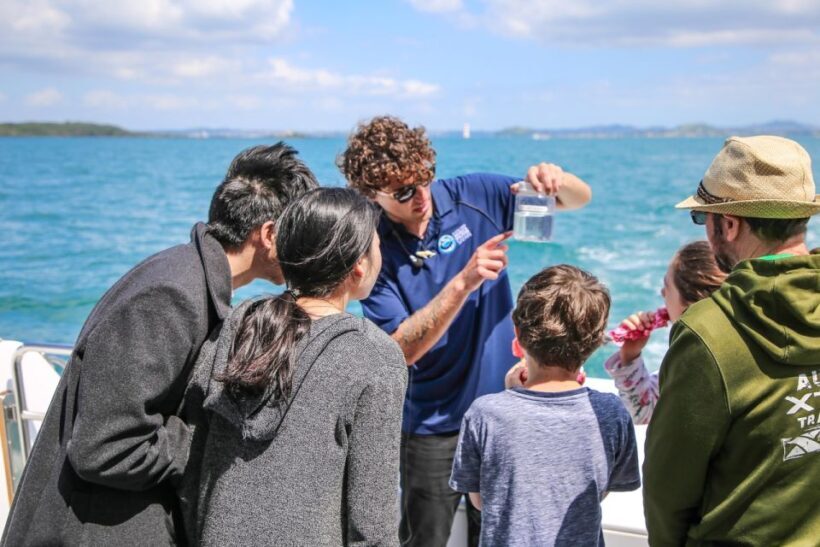 Auckland: Whale and Dolphin Watching Half-Day Eco Cruise - Why This Tour Is a Great Value