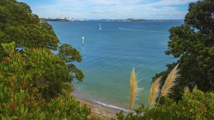 Auckland: Wild West Coast, Black Sand Beaches Tour inc Lunch - Additional Information