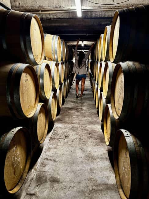 Auckland: Wine region tour with tastings and gourmet lunch - Key Points