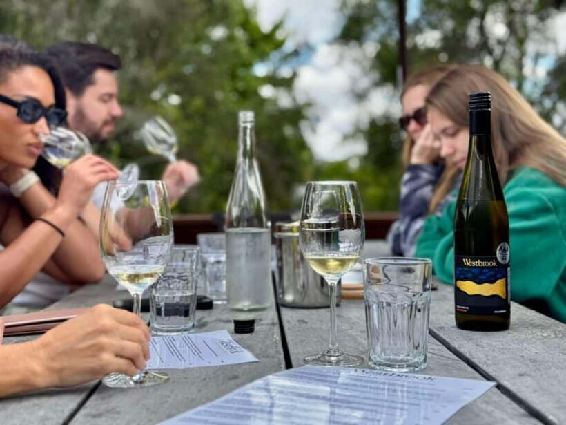 Auckland: Wine region tour with tastings and gourmet lunch - Who will love this tour?
