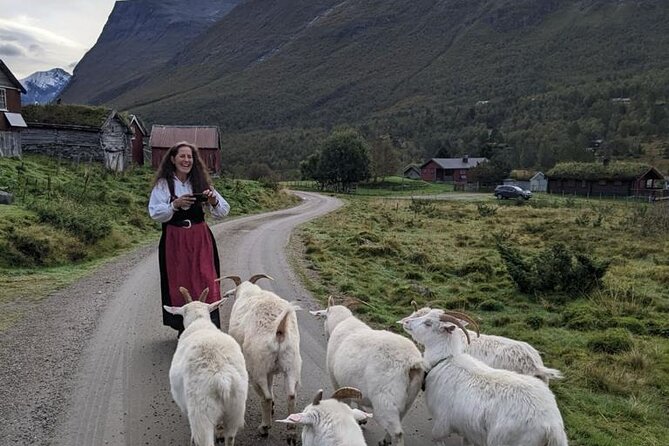 Audio-Guide Bus Tour at Scenic Routes of Åndalsnes to Trollstigen - Final Summary