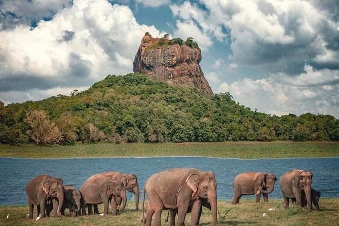 August Kandy Festive Tour - Final Thoughts