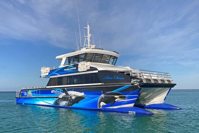 Augusta Whale Watching Eco Tour - Detailed Review of the Augusta Whale Watching Eco Tour