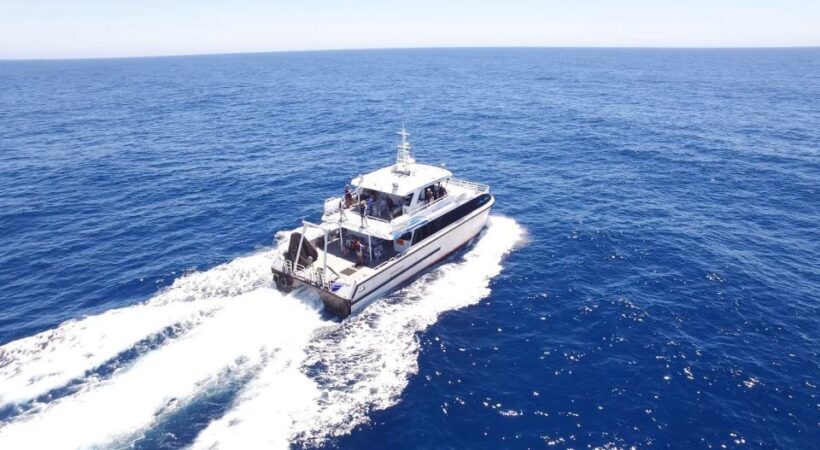 Augusta: Whale Watching Tour - FAQs