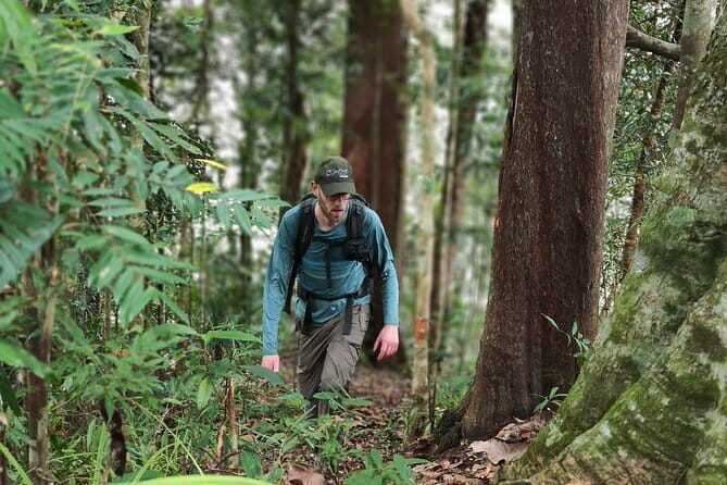 Aura Montoria and Waterfall Jungle Camping: 3-Day - Discovering the Itinerary: A Day-by-Day Breakdown