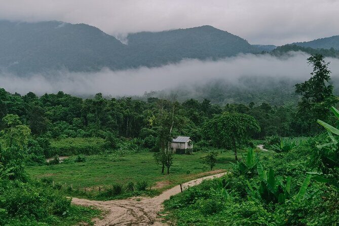 Aural Mountain Trek: Cambodia Tallest Peak Challenge - Authentic Reviews from Fellow Adventurers