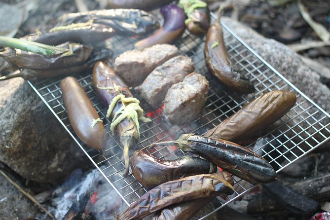 Aural Mountain Trek: Cambodia Tallest Peak Challenge - Exploring the Itinerary in Detail