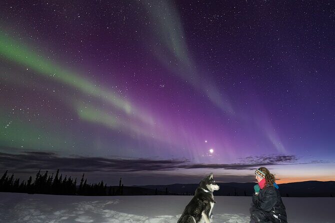 Aurora Activity at Sluice Box Sled Dogs - An In-Depth Look at the Aurora Activity Tour