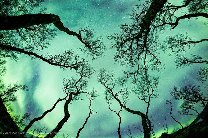 Aurora Adventure Tour with Creative Vacations - Why This Tour Stands Out