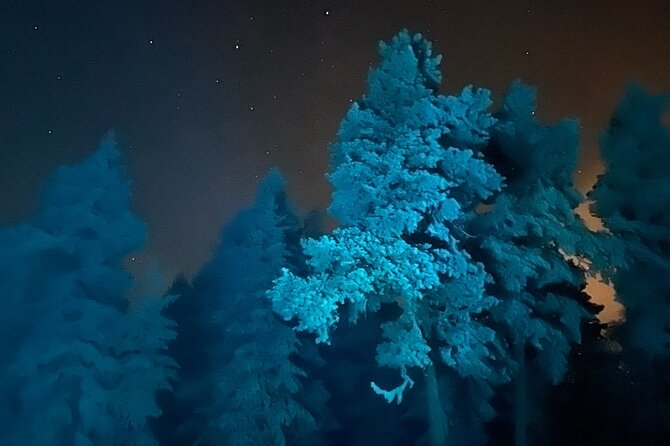 Aurora Borealis Dinner in a Glass Igloo - Savoring the Flavors of Traditional Finnish Cuisine
