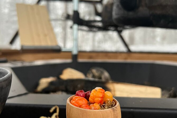 Aurora Borealis Dinner in a Glass Igloo - Reviewing the Customer Feedback