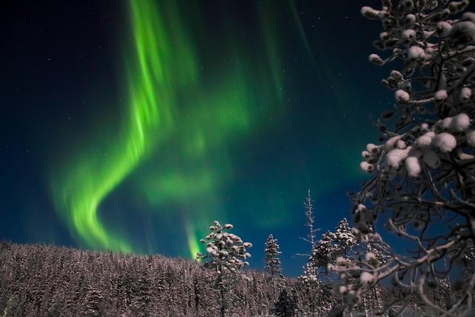 Aurora Borealis Picnic in Rovaniemi - Meeting Point and Pickup Details