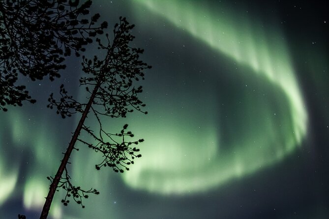 Aurora Borealis Picnic in Rovaniemi - Why Choose This Northern Lights Tour