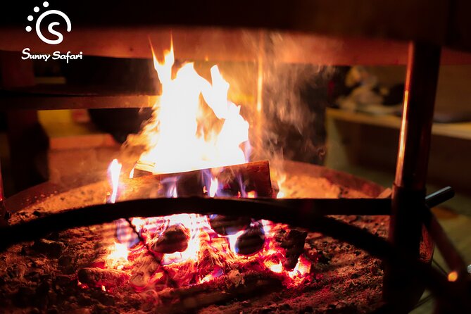 Aurora Borealis Trip in Lapland Lakeside - Accessibility and Health Considerations