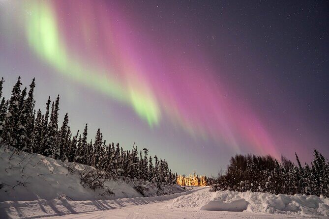 Aurora Chasing tour with Free Photography - Final Thoughts: Who Will Enjoy This Tour?