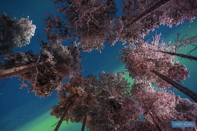 Aurora Hunt for 3 Hours in Saariselkä - Getting There