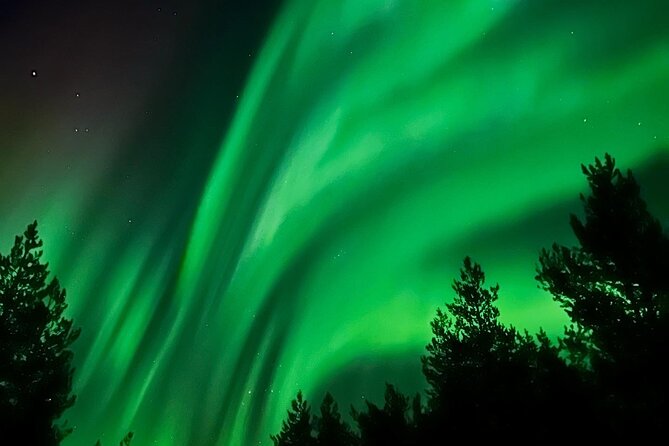 Aurora Hunt With BBQ in Rovaniemi - Highlights of the Included Features