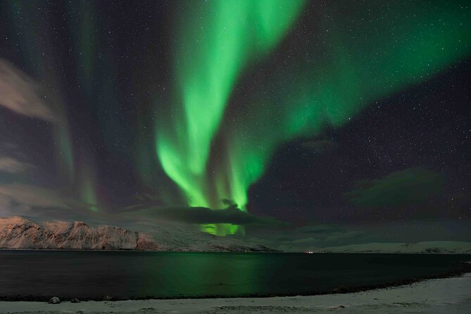 Aurora Hunt with Professional Photographer from Alta - Who Would Enjoy This Tour?
