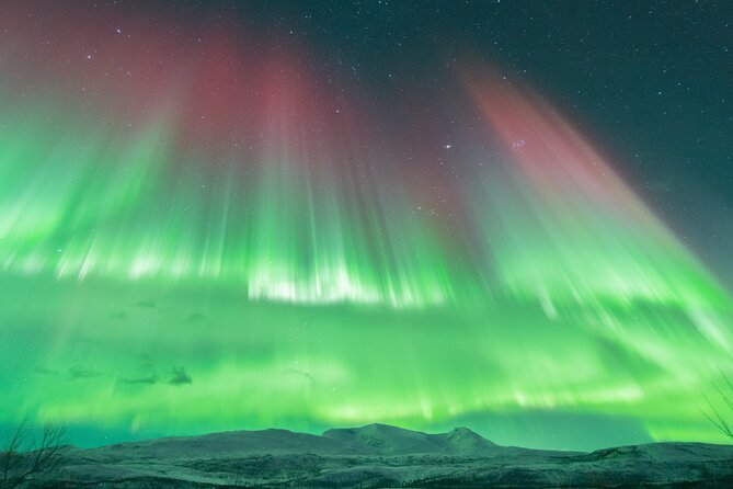 Aurora Hunt With the Campfire and Professional Photographer - Traveler Requirements and Restrictions