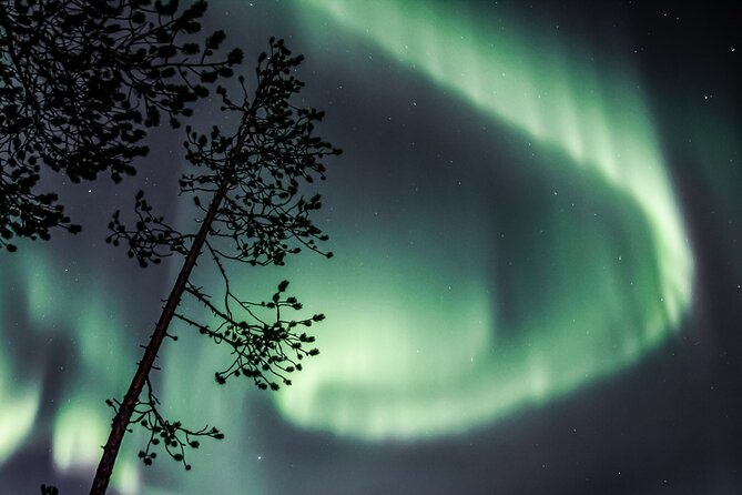 Aurora Hunting Photo Tour From Rovaniemi With Pickup - Meeting and Pickup