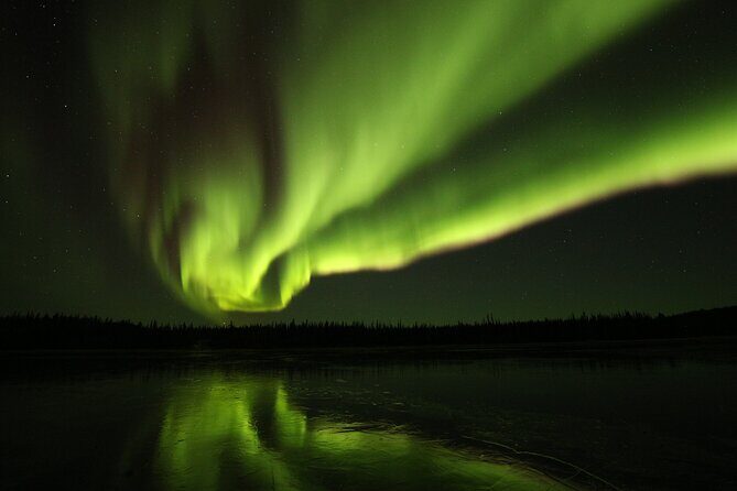 Aurora Hunting Tours - Introduction: The Promise of a Night Under the Lights