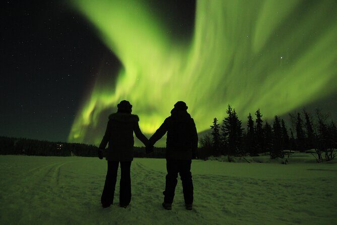 Aurora Hunting Tours - Who Should Consider This Tour?