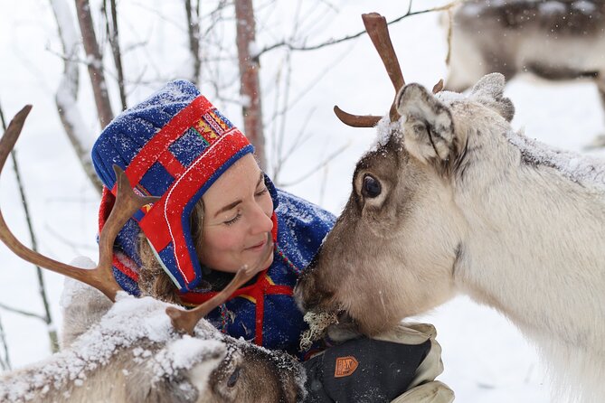 Aurora Hunting With Reindeer Caravan - Sámi Traditions and Reindeer Herding