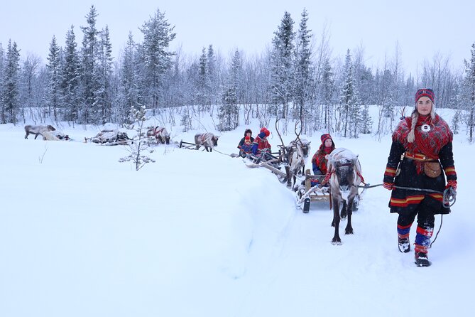 Aurora Hunting With Reindeer Caravan - Frequently Asked Questions