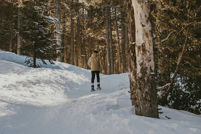 Aurora Hunting with Snowshoes - Campfire and Hot Drinks—A Cozy Highlight