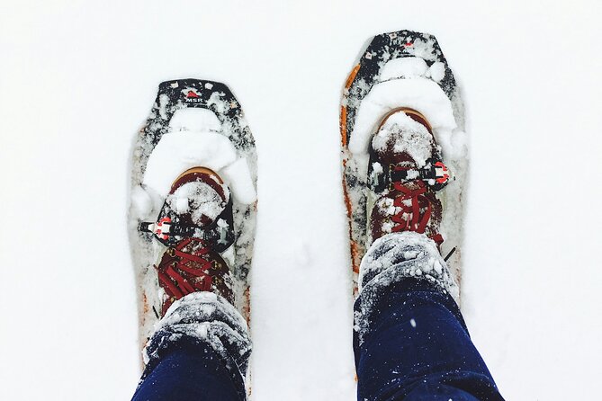 Aurora Hunting with Snowshoes - Whats Included and Whats Not