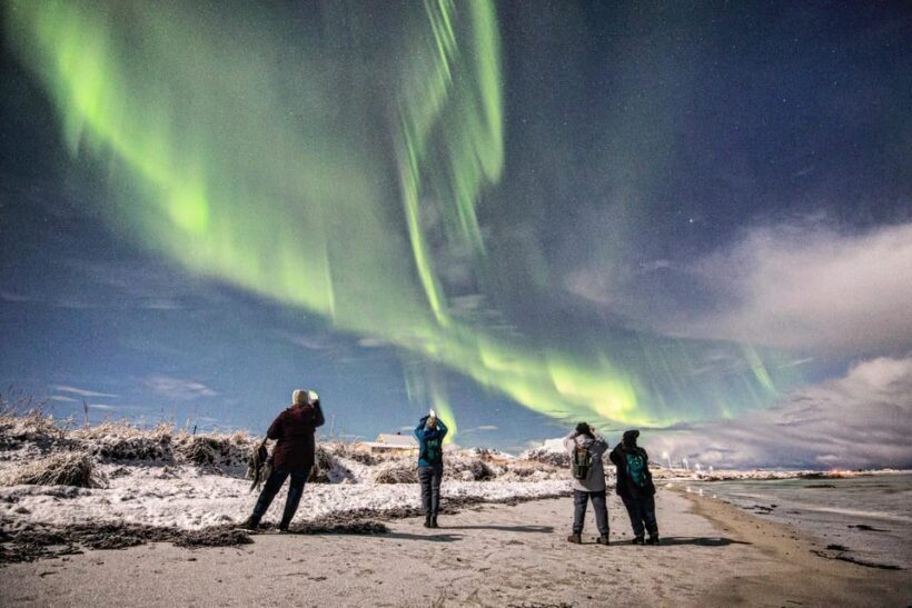 Aurora Lofoten, Northern Lights Centre Visit - Who Will Love This Experience?