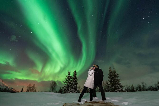 Aurora Magic Northern Lights Tour With Pro Photographer - Embracing the Unpredictable