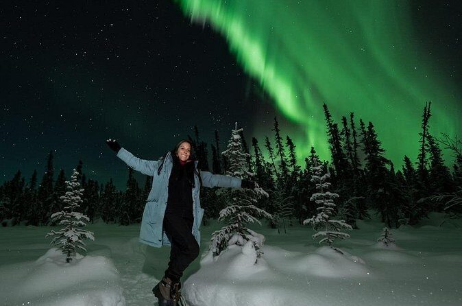 Aurora Oval Nightly Northern Lights Chase - The Sum Up