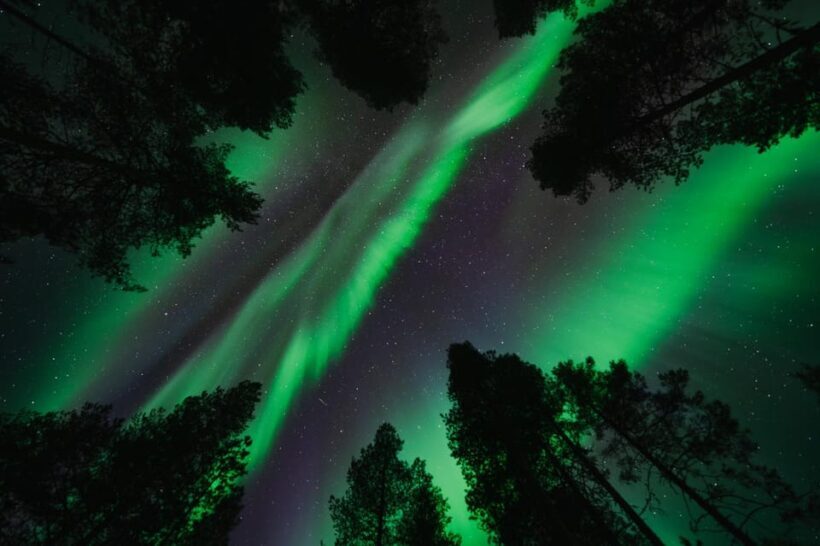 Aurora Photography Hunt - The Professional Portraits and Photography