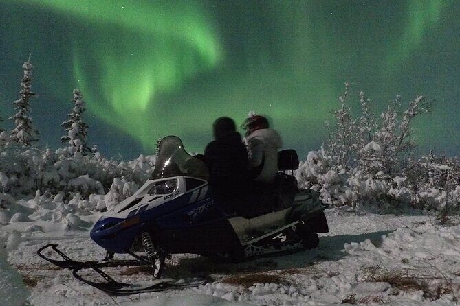 Aurora Sleighers Snowmobile Tour in Fairbanks - What Past Travelers Say