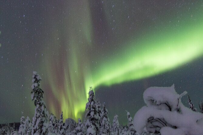 Aurora Sleighers Snowmobile Tour in Fairbanks - FAQ