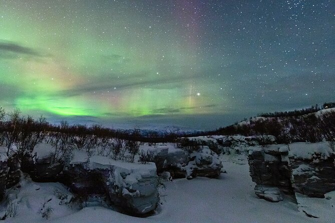 Aurora Tour with Dinner in Abisko - Introduction