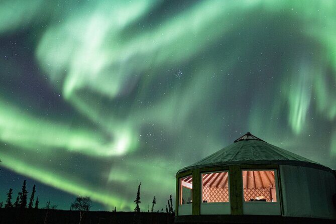 Aurora Viewing and Dinner - Why This Tour Offers Good Value