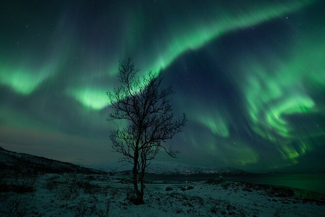 Auroras Hunt - Tour in Spanish, Northern Lights Chase in Spanish - Capturing the Northern Lights