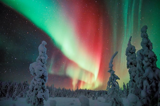 Auroras - Northern Lights Tours by Aurora Experts - Rovaniemi - Who Will Love This Tour?