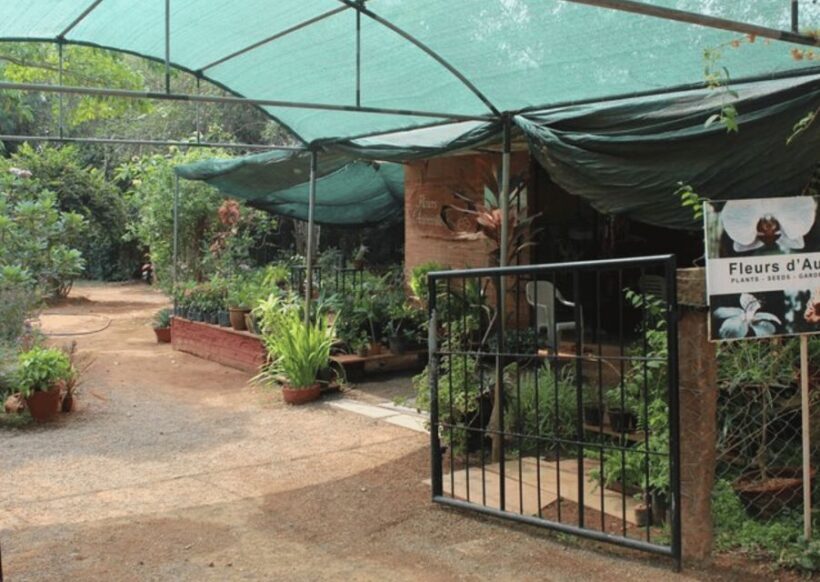 Auroville Guided Walking Tour - Authenticity and Experience: What Travelers Are Saying
