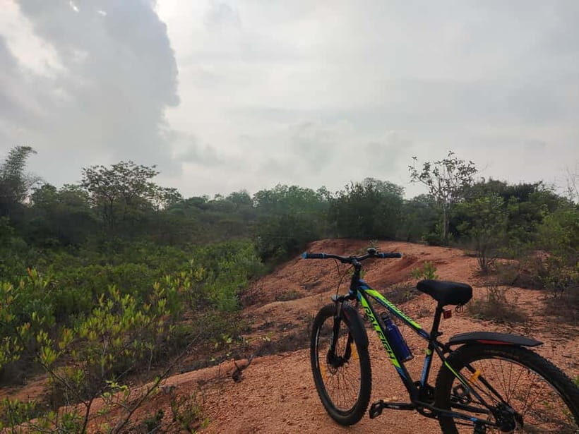 Auroville: Nature Trail Forest Cycling Adventure - Key Points