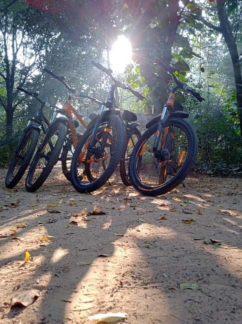 Auroville: Nature Trail Forest Cycling Adventure - A Unique Way to Experience Auroville’s Forests