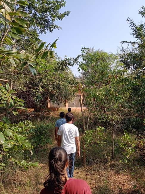 Auroville: Nature Trail Forest Cycling Adventure - The Itinerary: A Day in the Forest