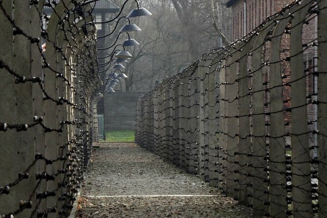 Auschwitz and Birkenau Guided Tour From Krakow - What to Expect on the Guided Tour