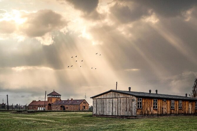 Auschwitz and Birkenau WITHOUT GUIDE private transport from Kraków - Exploring the Experience in Depth