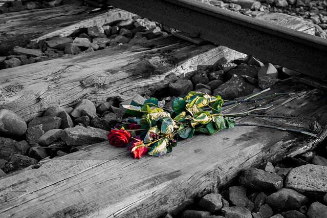 Auschwitz Birkenau and Salt Mine Full Day Guided Tour From Krakow Hotel Pick up - Booking and Participation Requirements